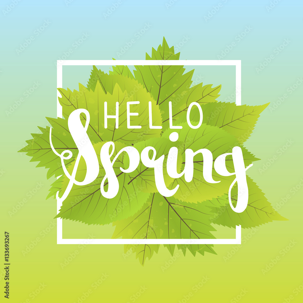 Hello spring. Lettering with hand drawn letters. Label and banner ...