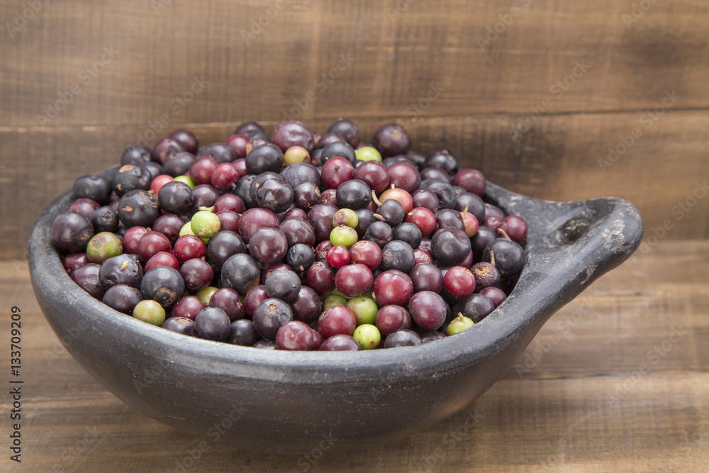 Agráz tropical fruit (Vaccinium meridionale) foto de Stock | Adobe Stock