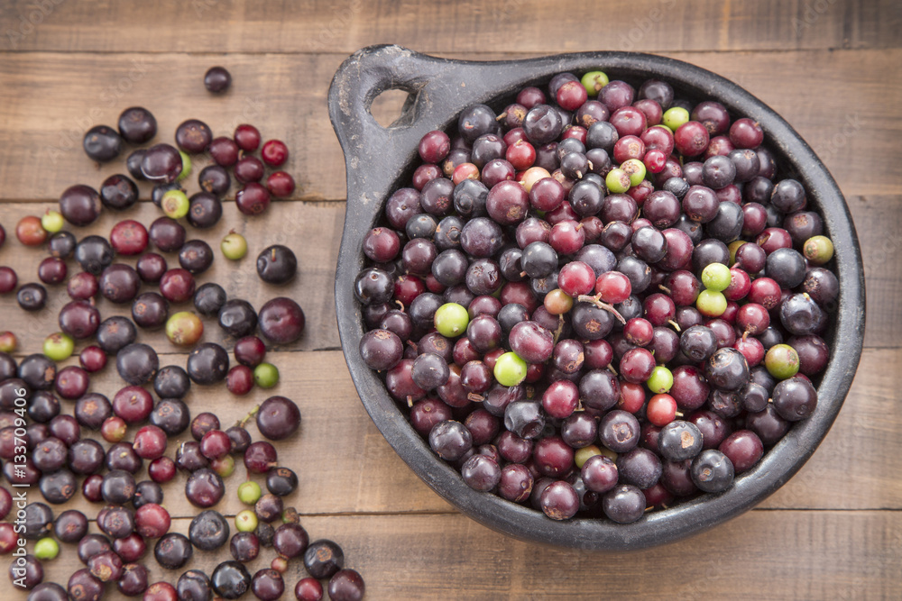 Agráz tropical fruit (Vaccinium meridionale) foto de Stock | Adobe Stock