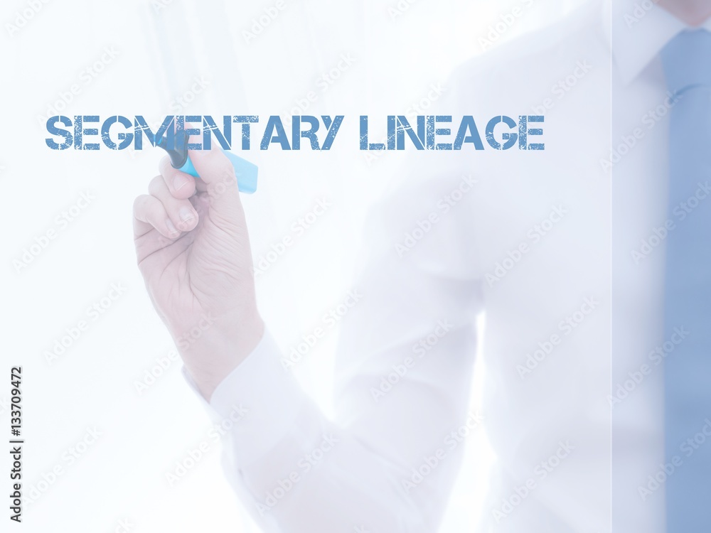 Segmentary lineage Stock Illustration | Adobe Stock