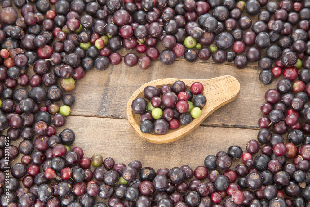 Agráz tropical fruit (Vaccinium meridionale) foto de Stock | Adobe Stock