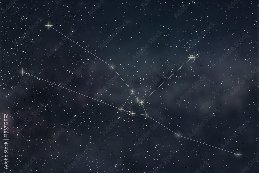 Taurus Constellation. Zodiac Sign Taurus Constellation lines Stock ...