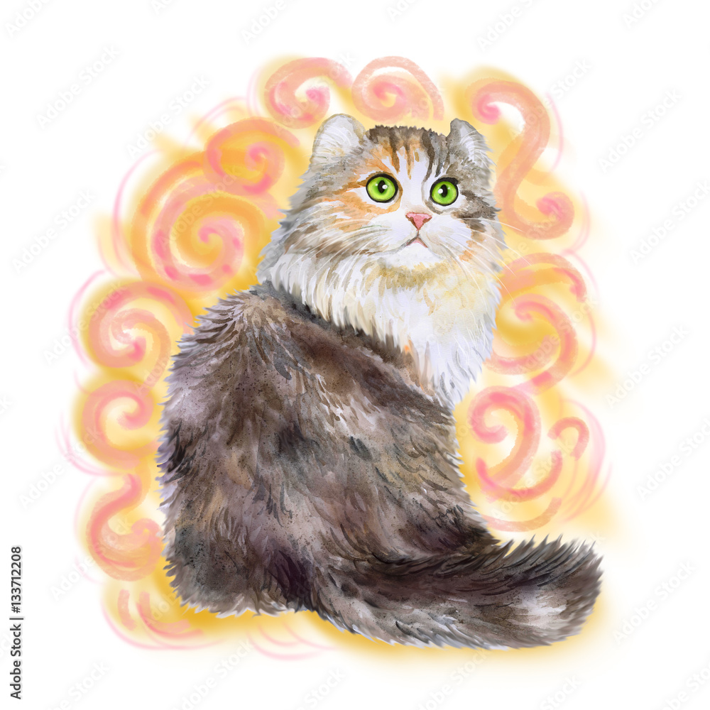 Watercolor portrait of American Curl cat with curled back ears isolated ...