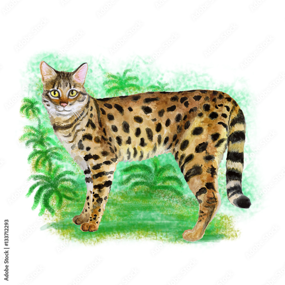Realistic Cartoon Wild Cat