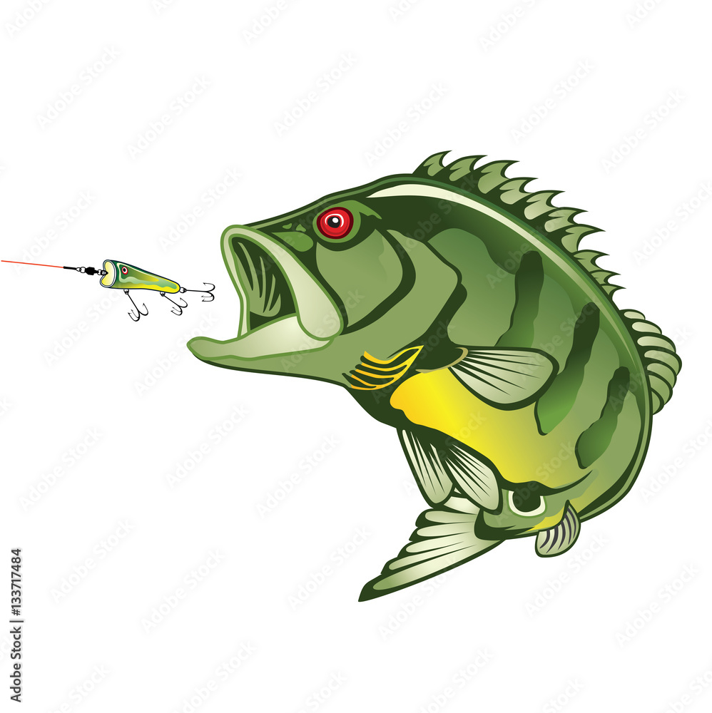 Peacock Bass strike Stock-Vektorgrafik | Adobe Stock