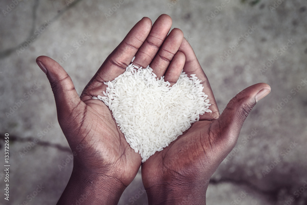 Hands holding rice Stock Photo | Adobe Stock