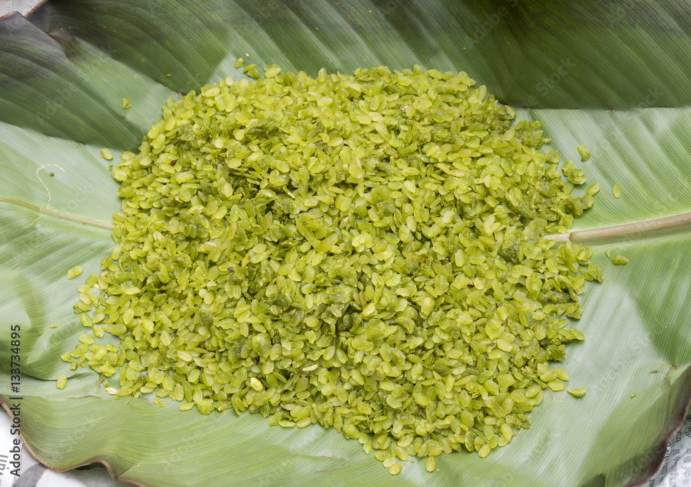 Green rice flakes ( Com in Vietnamese). Com is freshly harvested sticky ...