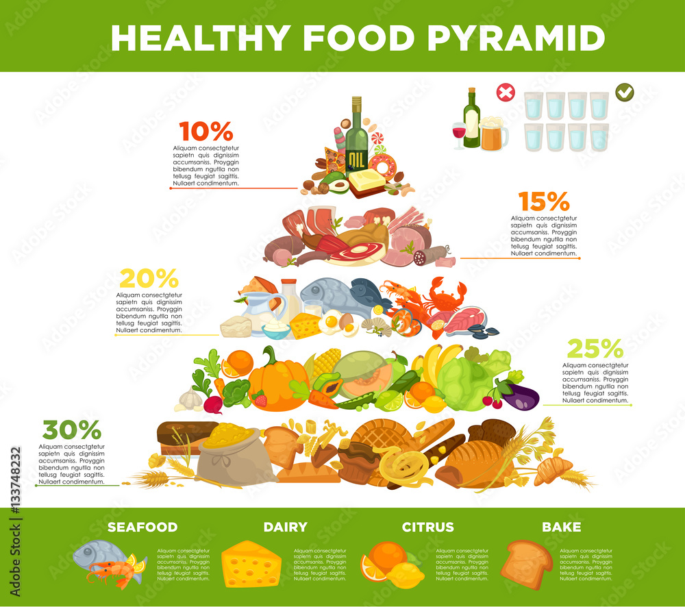 Infographic Food Vector