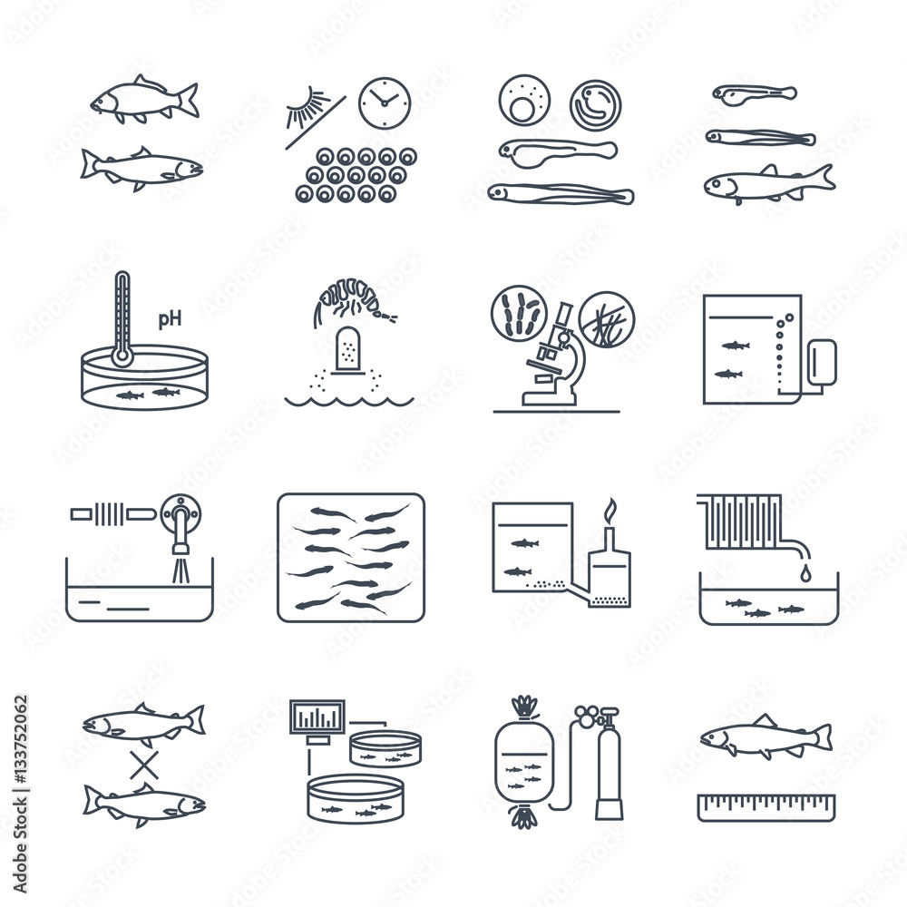Poster set of thin line icons aquaculture production process, fish ...