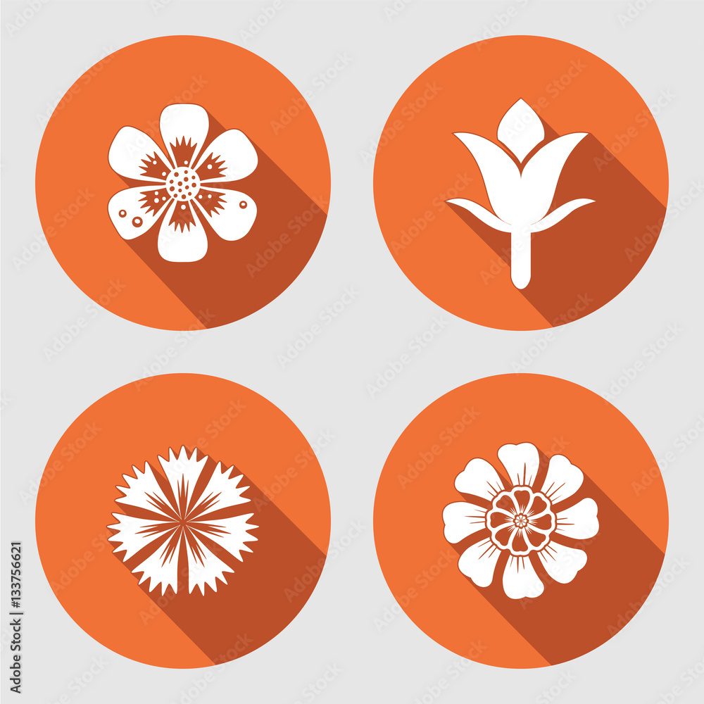 Flower icons set. Chamomile, daisy, blue poppy cloves. Spring flowers ...