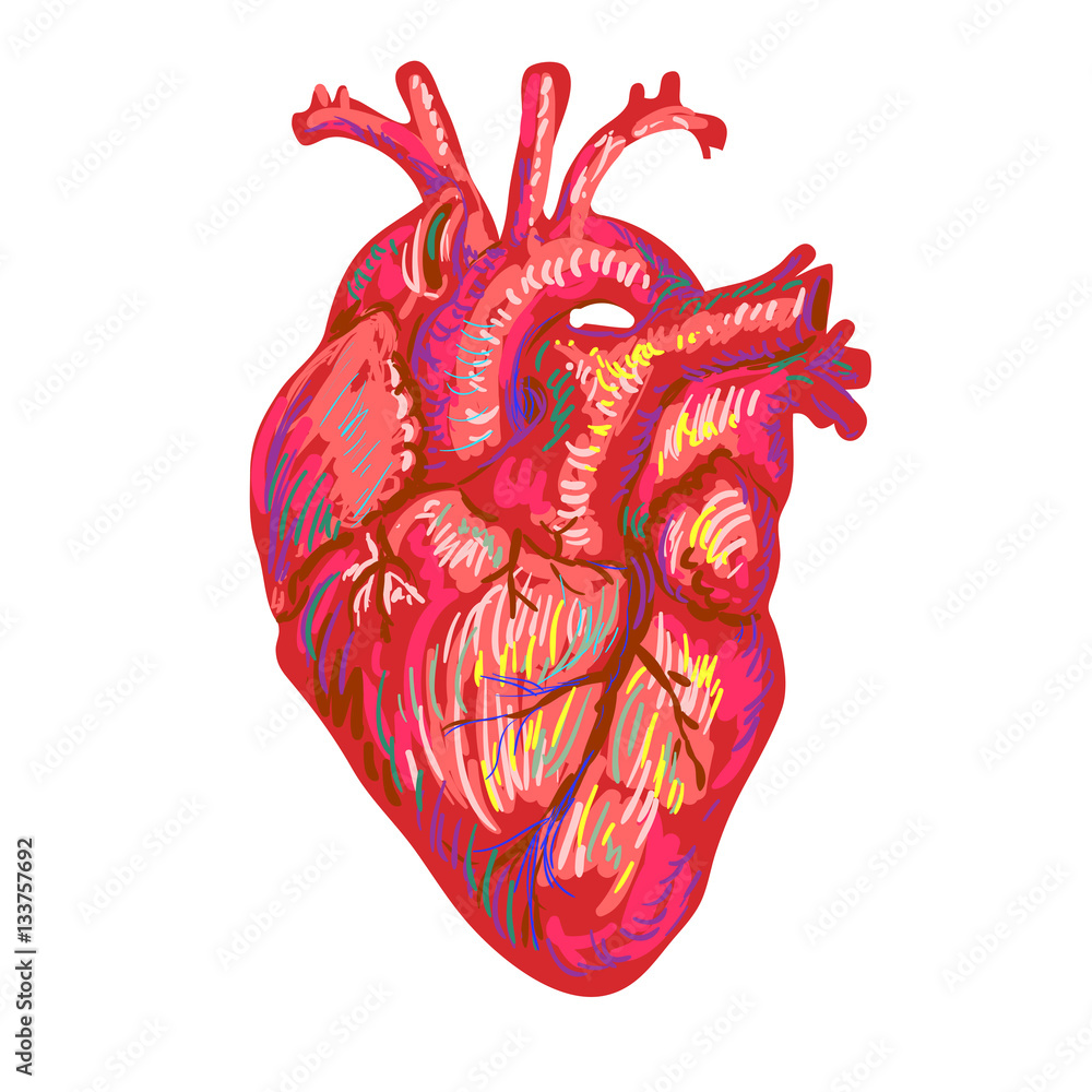 Medical Heart Vector Art