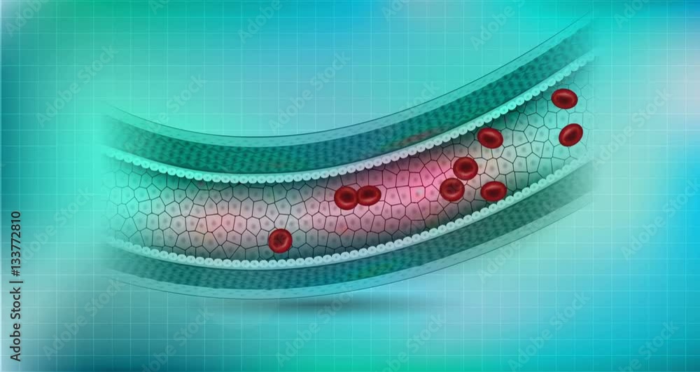 Red blood cells in the artery on an abstract blue mesh backgorund ...