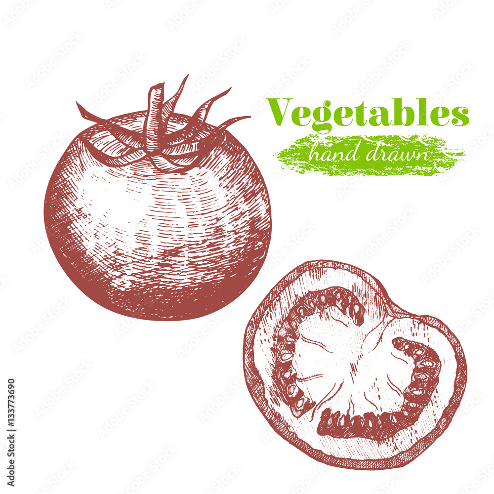 Tomato Hand Draw Sketch. Vector Stock Vector | Adobe Stock