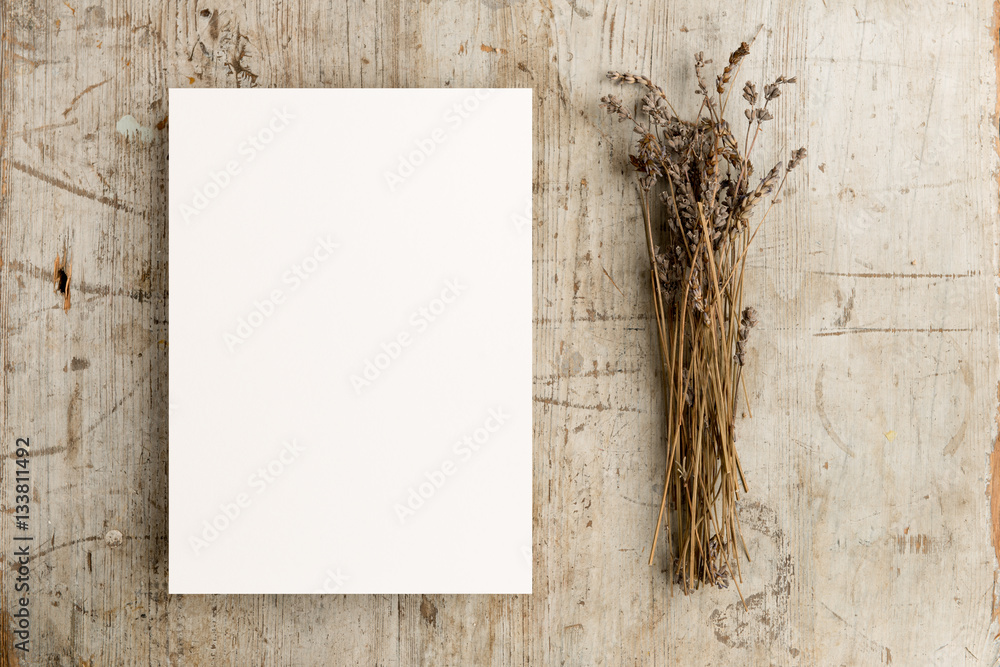 Blank greetings card Stock Photo | Adobe Stock