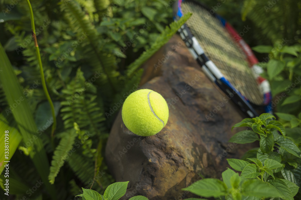 Tennis ball on top of a rock. Concept of green and healthy Stock Photo ...