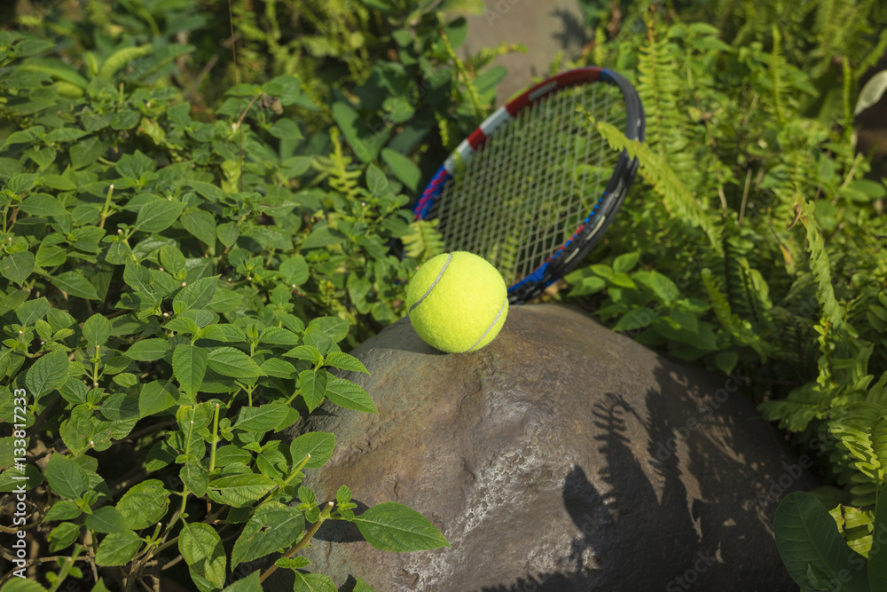 Tennis ball on top of a rock. Concept of green and healthy Stock Photo ...