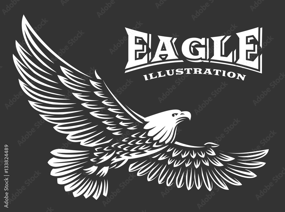 Eagle vector illustration, emblem on dark background Stock Vector ...