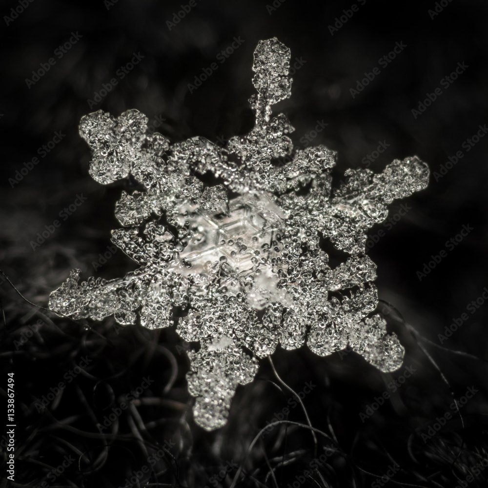 Extreme magnification - Real snowflake on black background Stock Photo ...