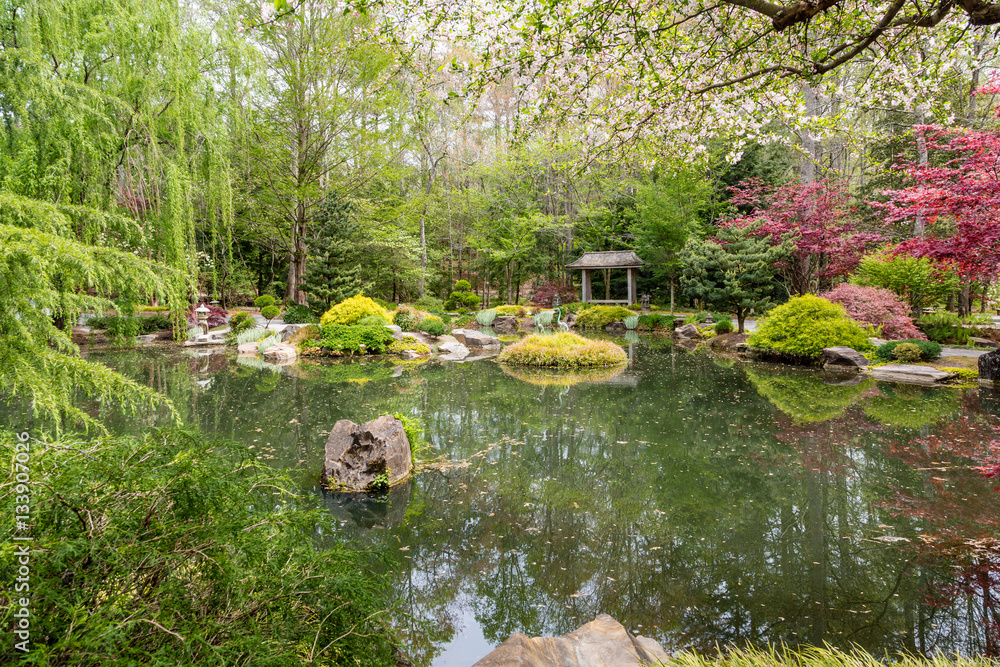 Spring in Japanese Garden Stock Photo | Adobe Stock