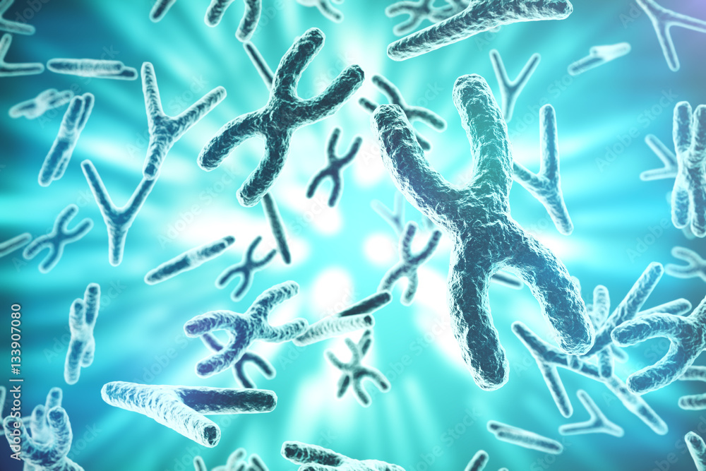 XY-chromosomes as a concept for human biology medical symbol gene ...