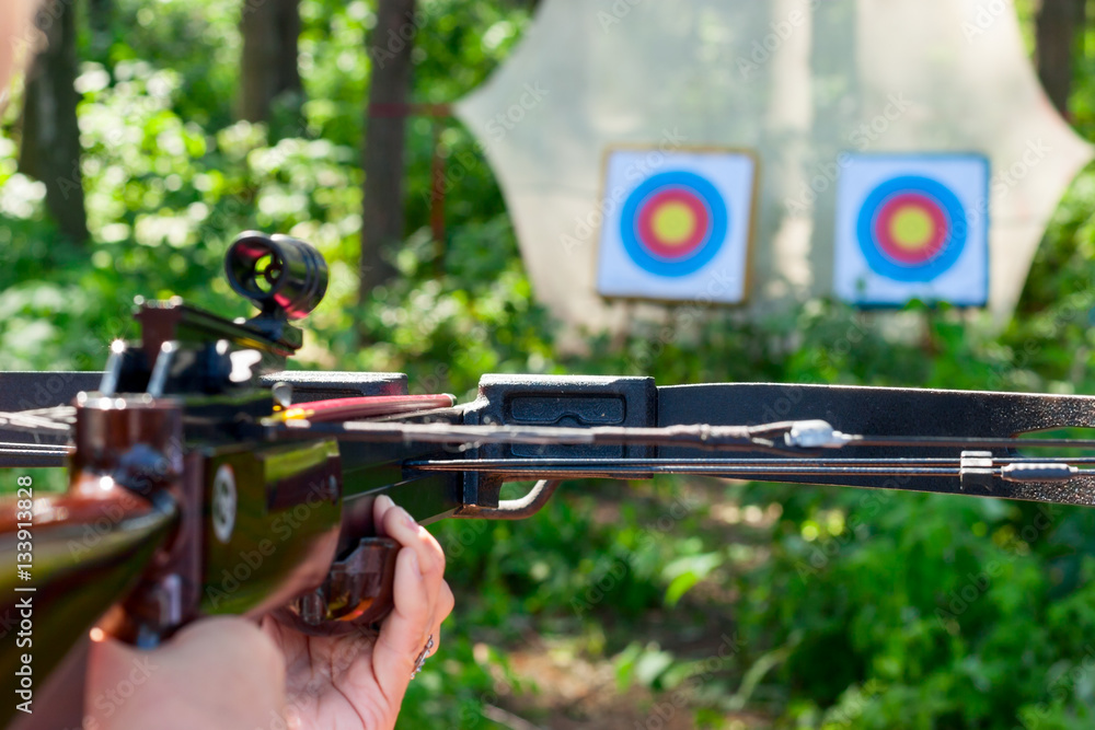 Poster Woman aiming crossbow at target – Wall Art | UkPosters