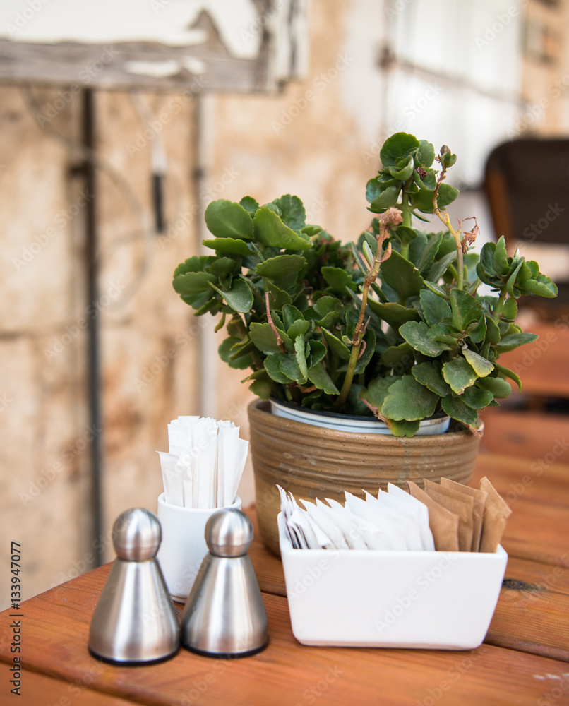 Restaurant interior. Green plant, table condiments, pepper and salt ...
