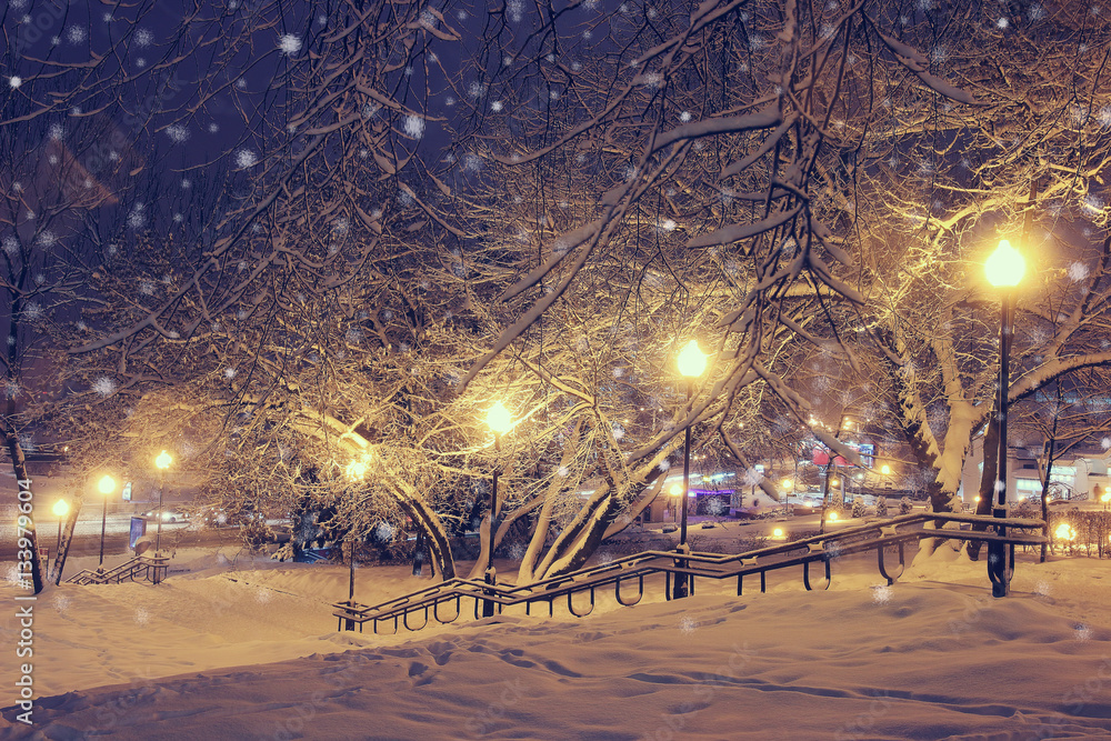 Pretty Winter Lights Pictures