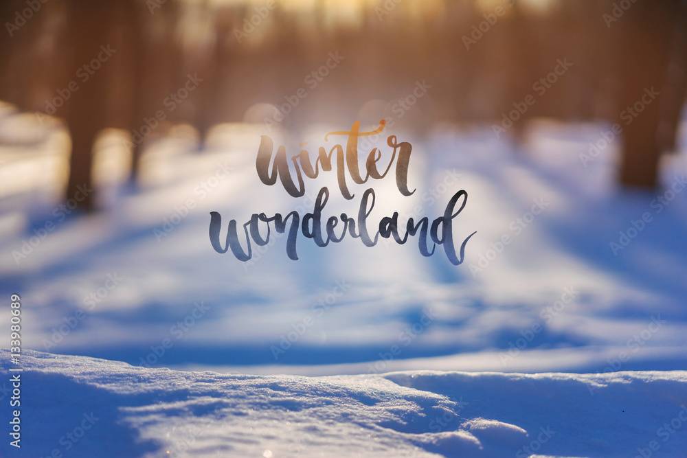 Winter Wonderland - Inspirational quote on a winter landscape ...