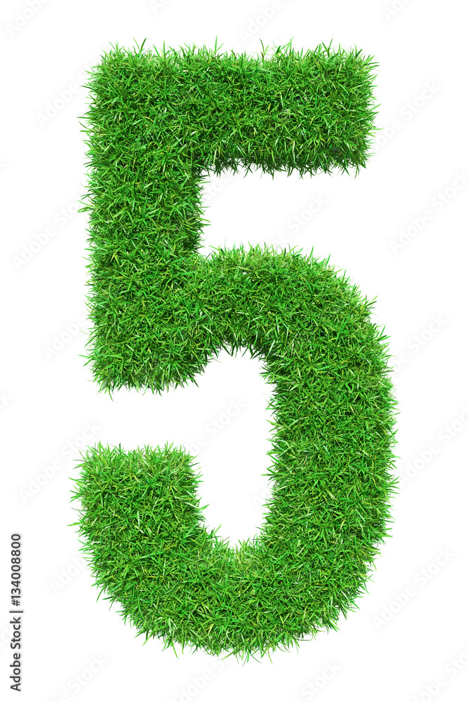 Green grass number 5 Stock-Illustration | Adobe Stock