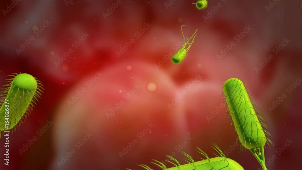 3D animation of the Helicobacter pylori or H. pylori, 4K Ultra HD. H ...