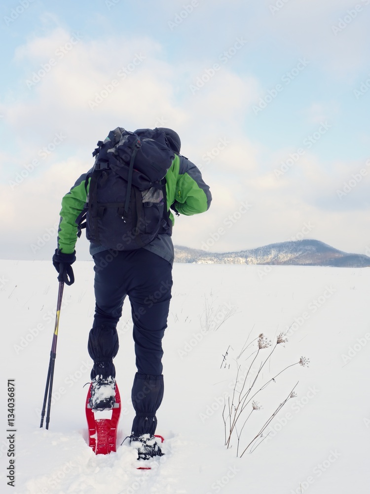 Man cleaning snowshoe. Hiker in green gray winter jacket and black ...