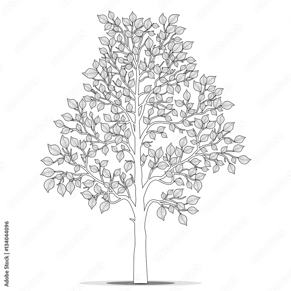 Tree with leaves for coloring book page vector Stock Vector | Adobe Stock
