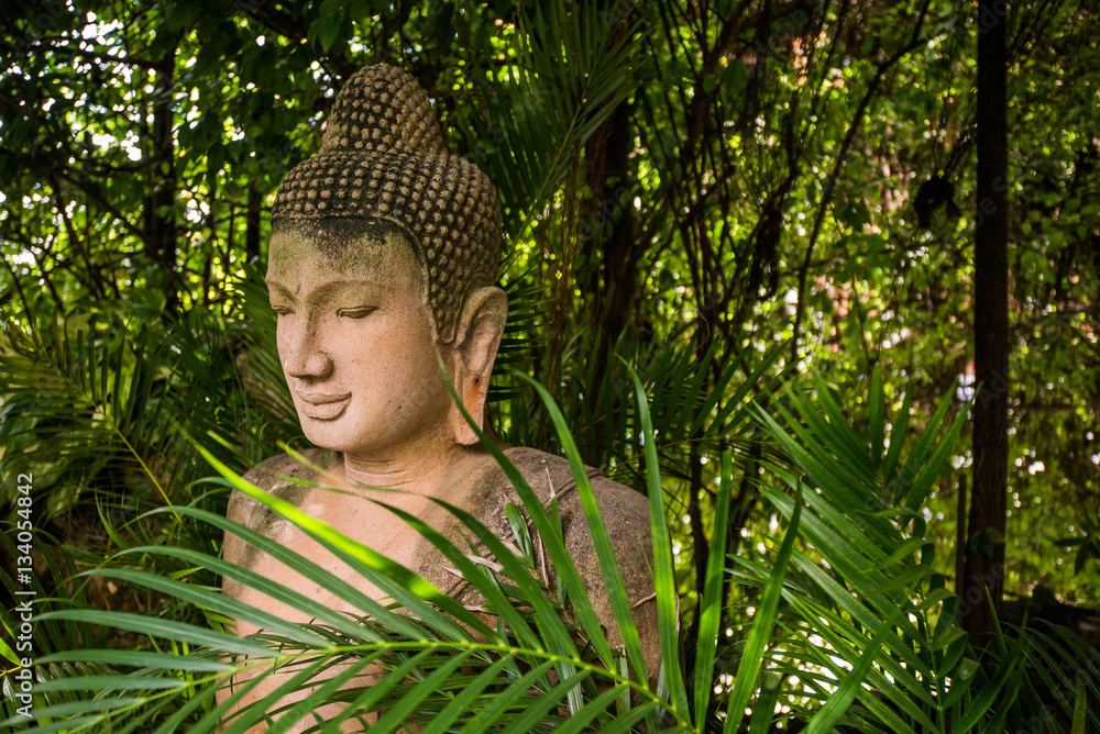 The stone Buddha statue in forest background Stock Photo | Adobe Stock