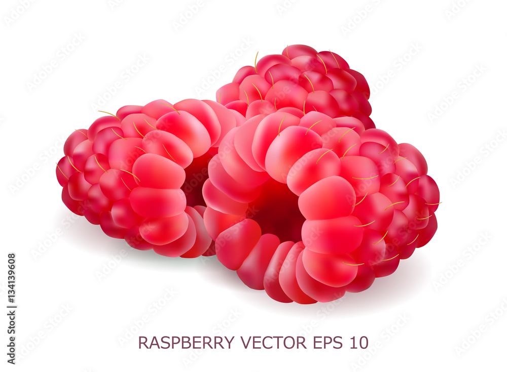 Vector realistic volumetric 3d raspberry. Isolated background design ...