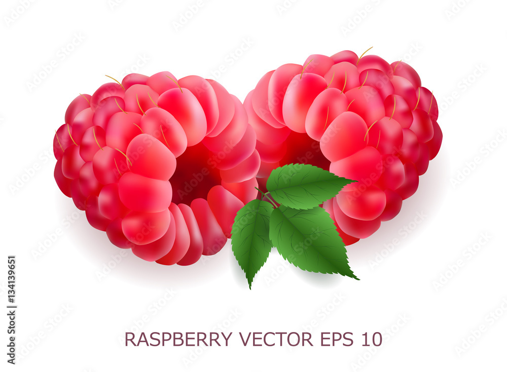 Vector realistic volumetric 3d raspberry with leaves Stock Vector ...
