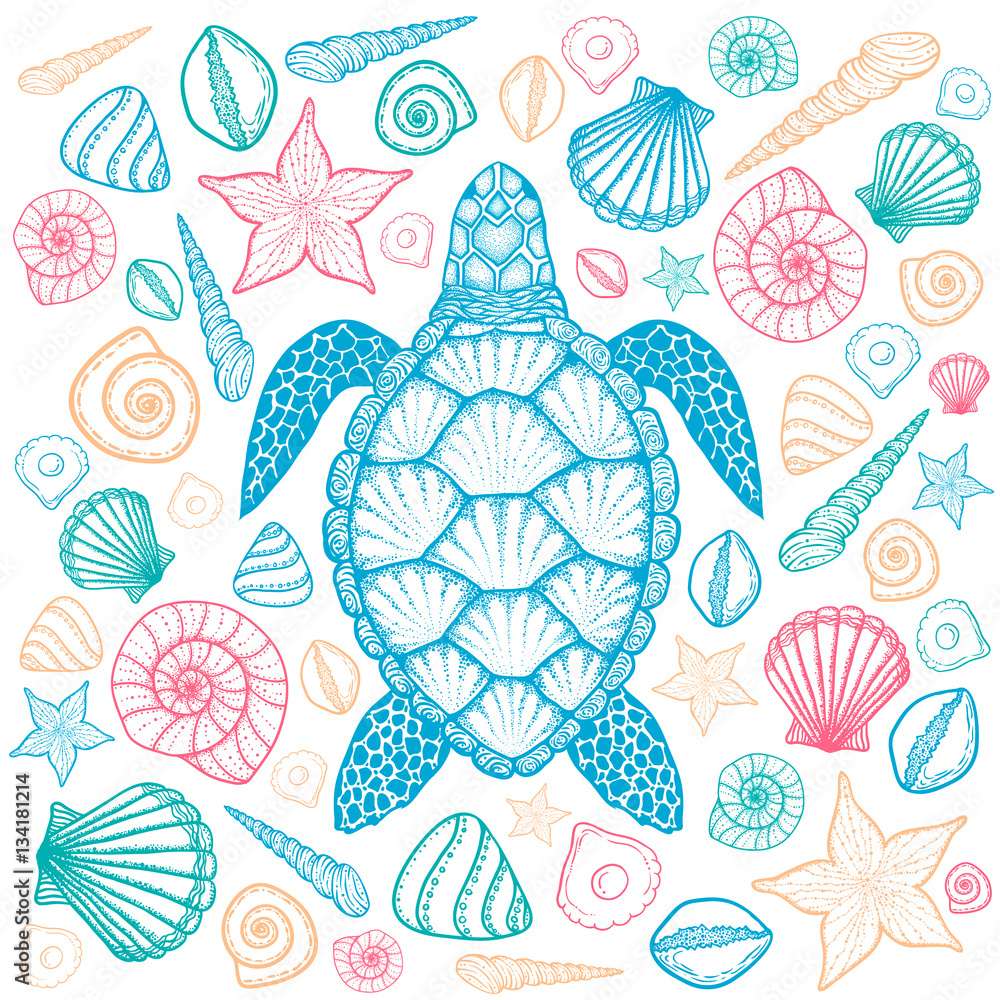 Sea turtle and shells in line art style. Hand drawn vector illustration ...
