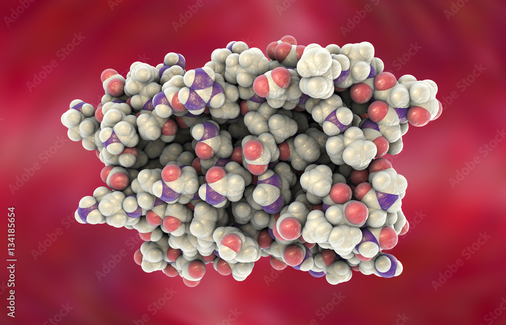 Molecular model of interferon-alpha IFN-alpha, 3D illustration. IFN ...