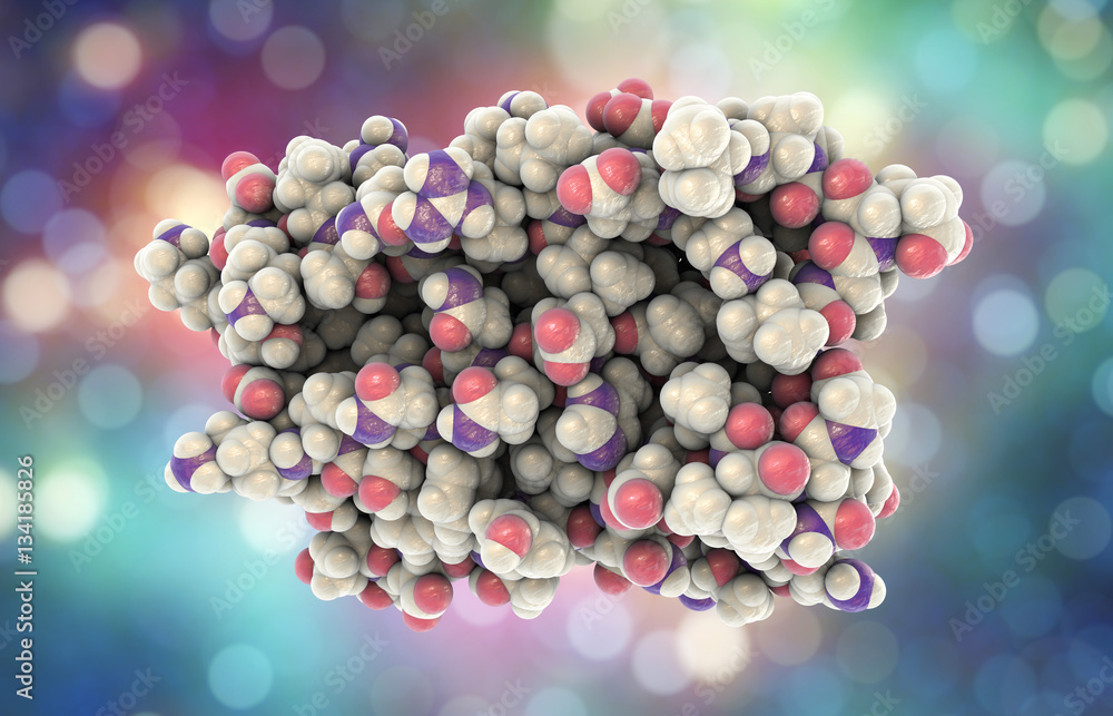 Molecular model of interferon-alpha IFN-alpha, 3D illustration. IFN ...