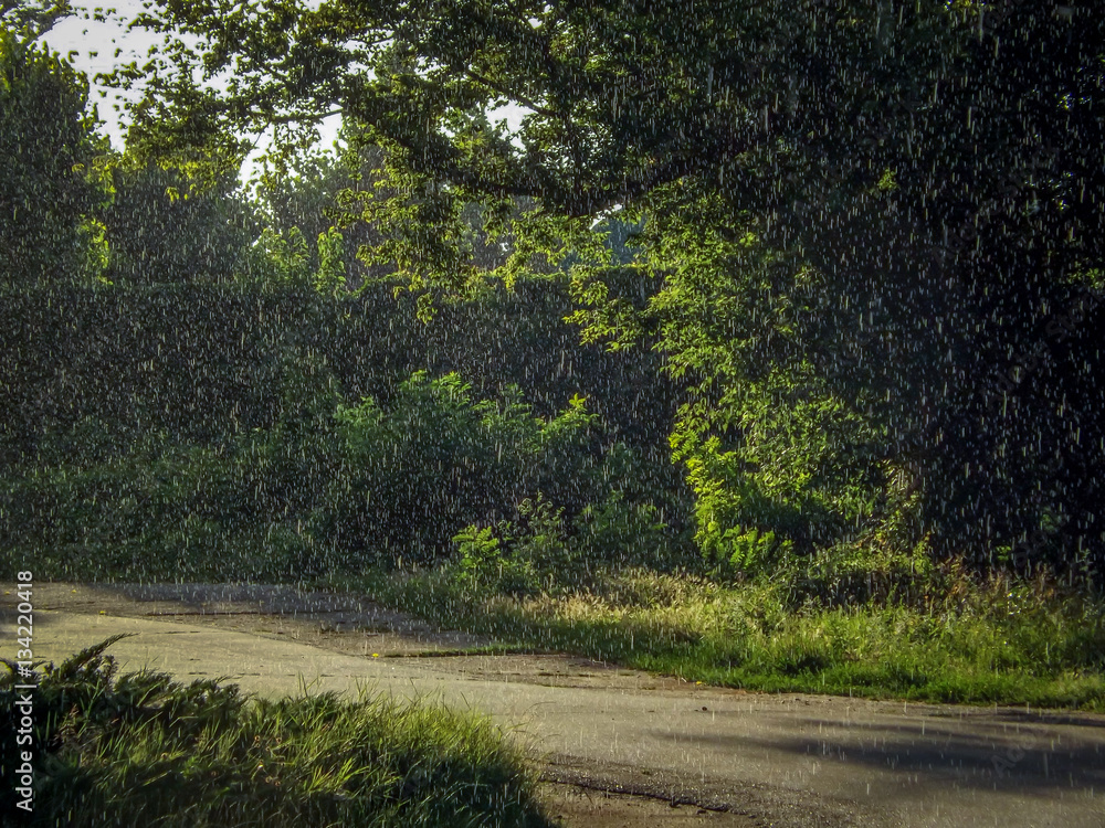 Sunny Rain Stock Photo | Adobe Stock