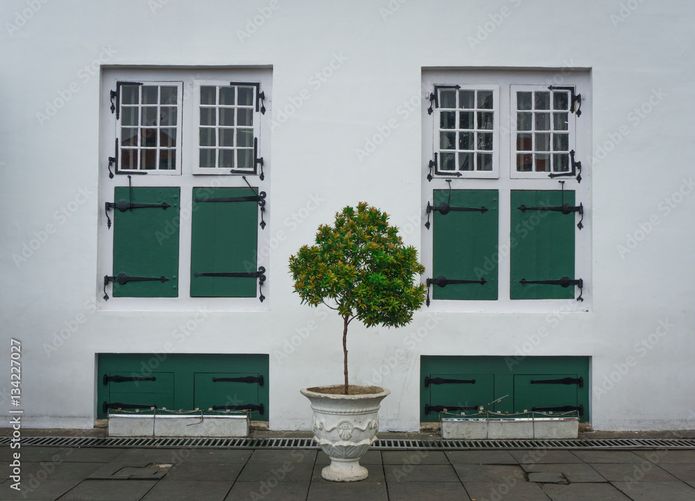Two identical green windows with a tree in the middle photo taken in ...