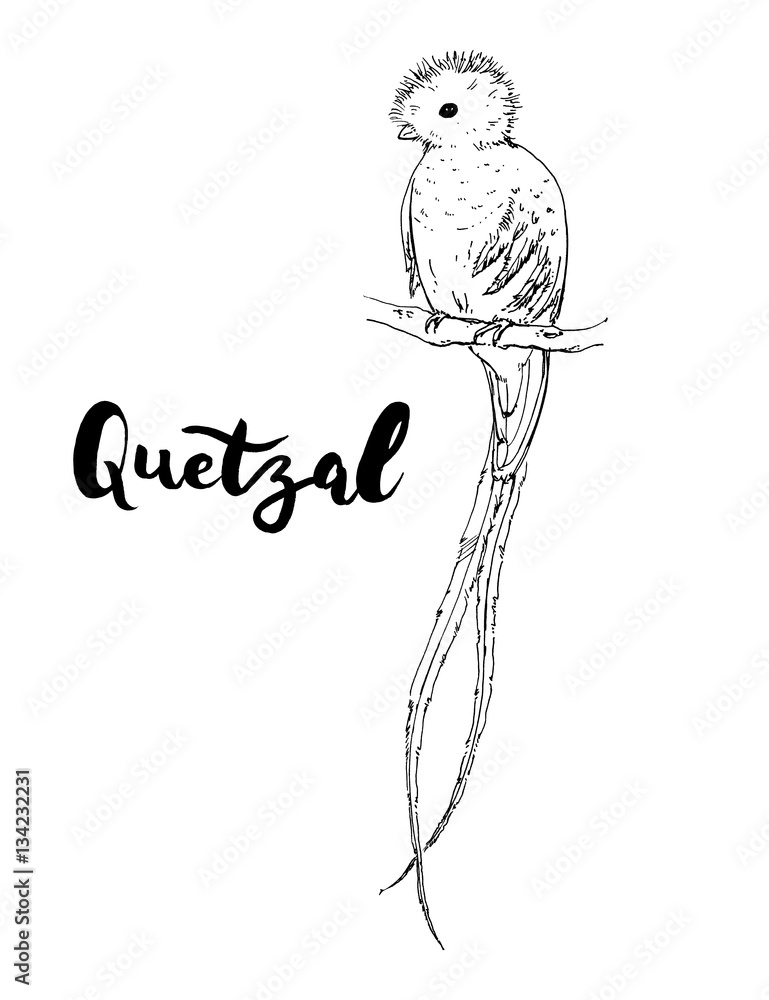 Quetzales A Soles