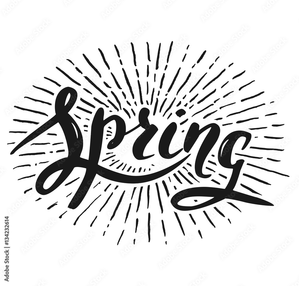 Vector handwritten brush script. Black letters isolated on white ...