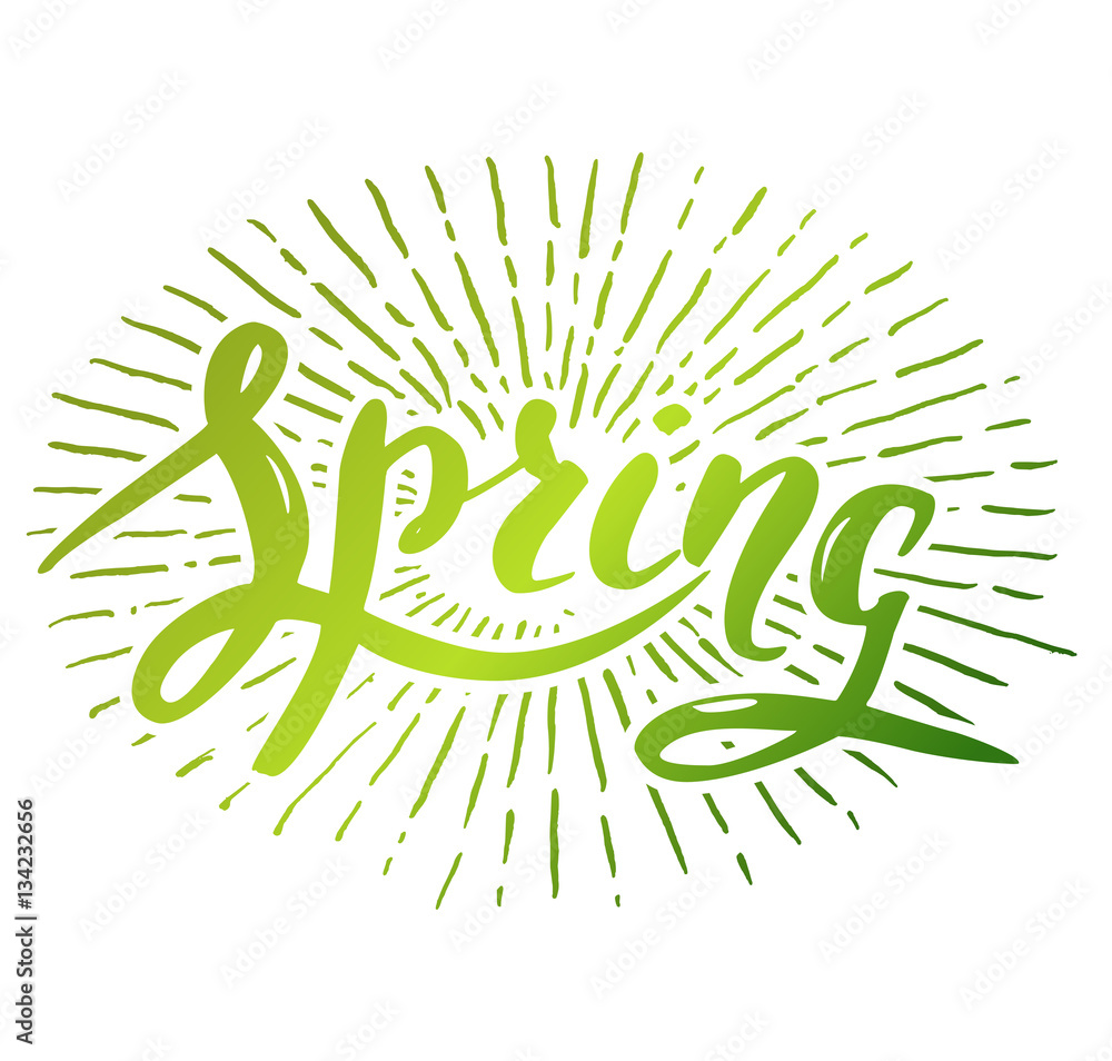 Vector handwritten brush script. Green letters isolated on white ...