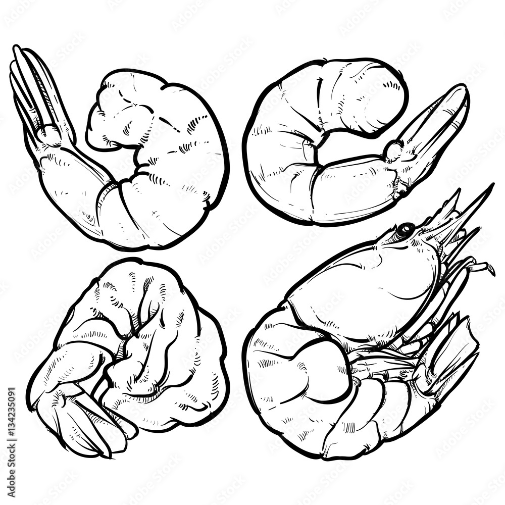 Shrimp Cocktail Clip Art