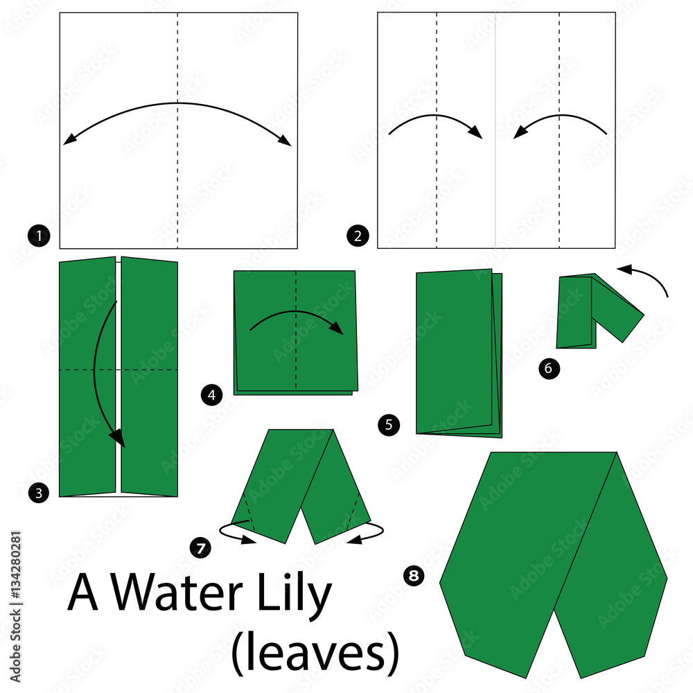 step by step instructions how to make origami A Water Lily. vector de ...