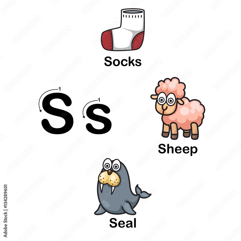 Alphabet Letter S-socks,sheep,seal illustration Stock Vector | Adobe Stock
