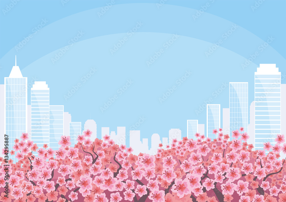 Beautiful spring city landscape with the blossoming Oriental cherry and ...