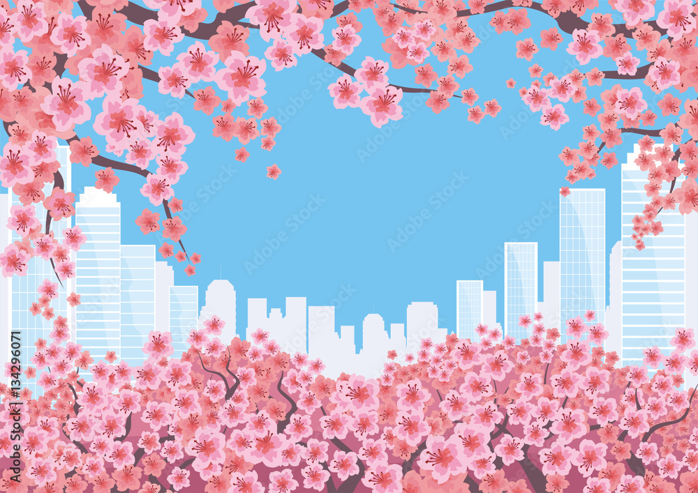 Beautiful spring city landscape with the blossoming Oriental cherry and ...