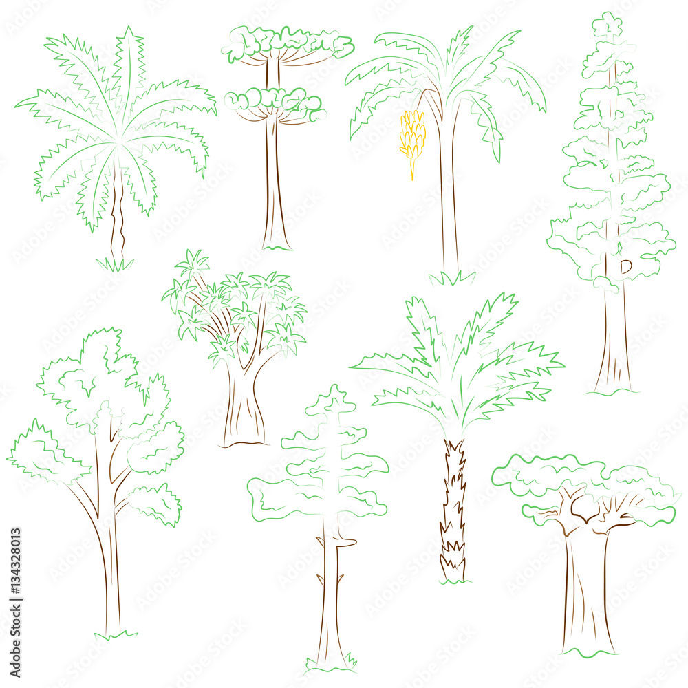 Hand Drawn Set of Green Trees. Doodle Drawings of Palms, Sequoia, Aloe ...