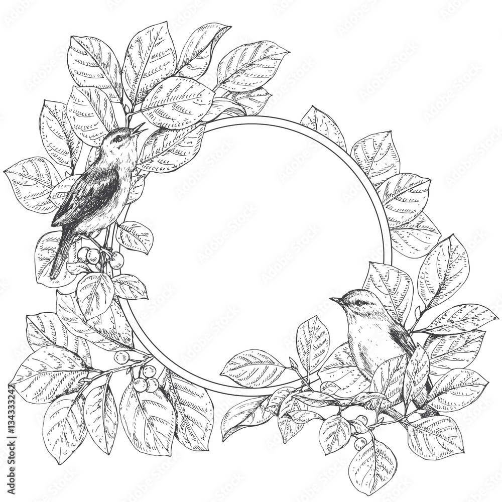 Round Frame with Sitting Birds Stock Vector | Adobe Stock